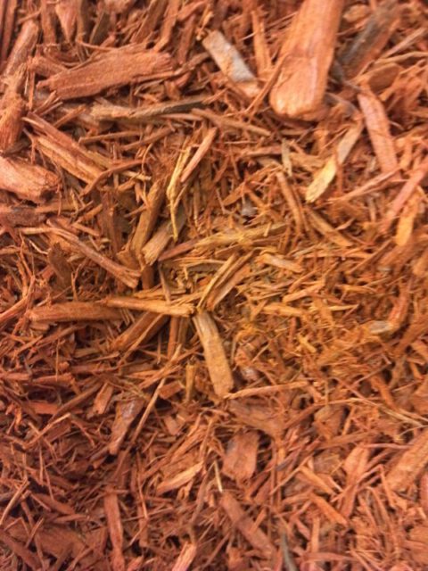 Logwood Chips | Long Ridge Natural Dyes